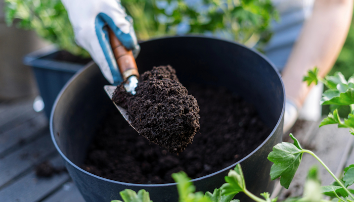 Garden Essentials