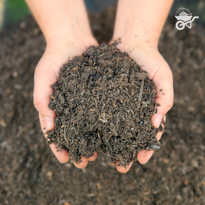 Forest Mulch
