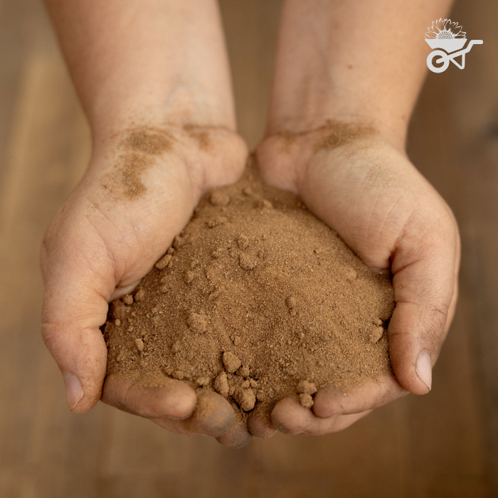 Sandy Loam